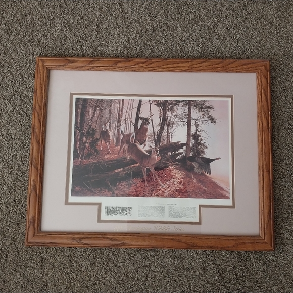 Wall Decor | 1997 Wildlife Photo | Poshmark